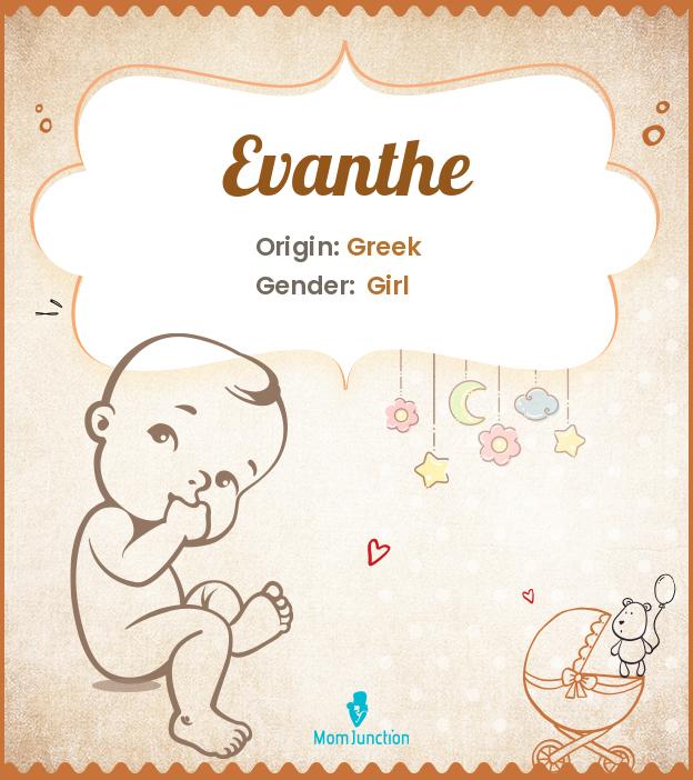 Explore Evanthe: Meaning, Origin & Popularity
