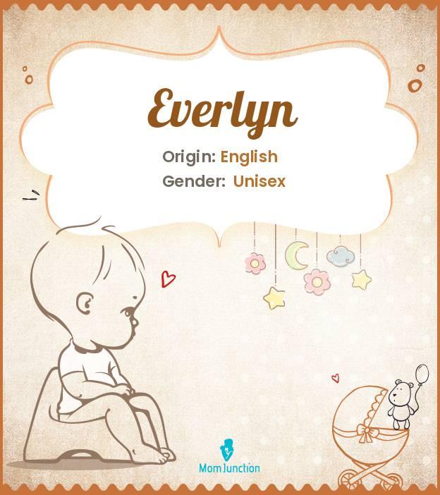 Explore Everlyn: Meaning, Origin & Popularity