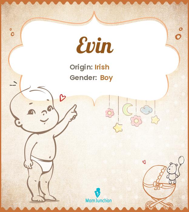 Explore Evin: Meaning, Origin & Popularity