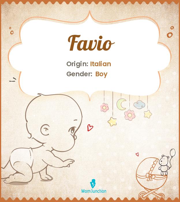 Explore Favio: Meaning, Origin & Popularity