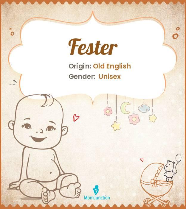 Explore Fester: Meaning, Origin & Popularity