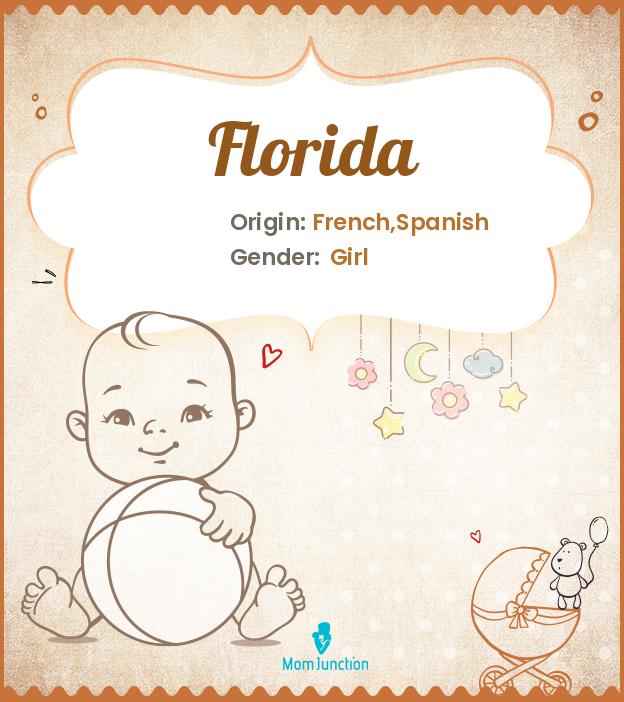 Explore Florida: Meaning, Origin & Popularity