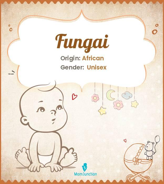 Explore Fungai: Meaning, Origin & Popularity