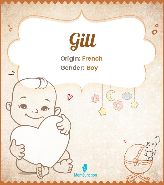 Explore Gill: Meaning, Origin & Popularity