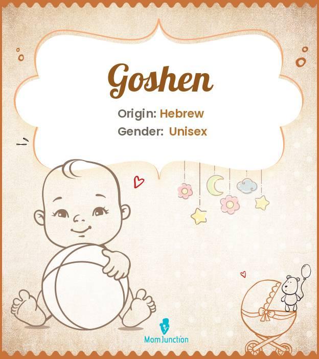 Explore Goshen: Meaning, Origin & Popularity