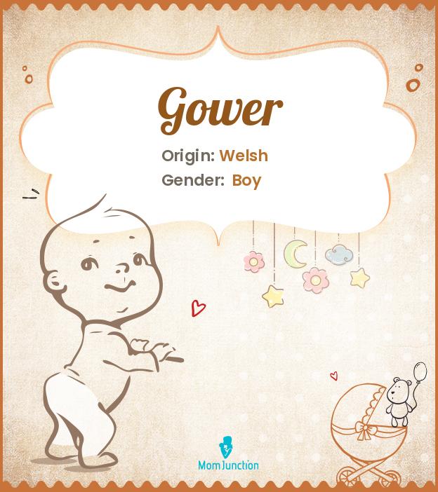Explore Gower: Meaning, Origin & Popularity