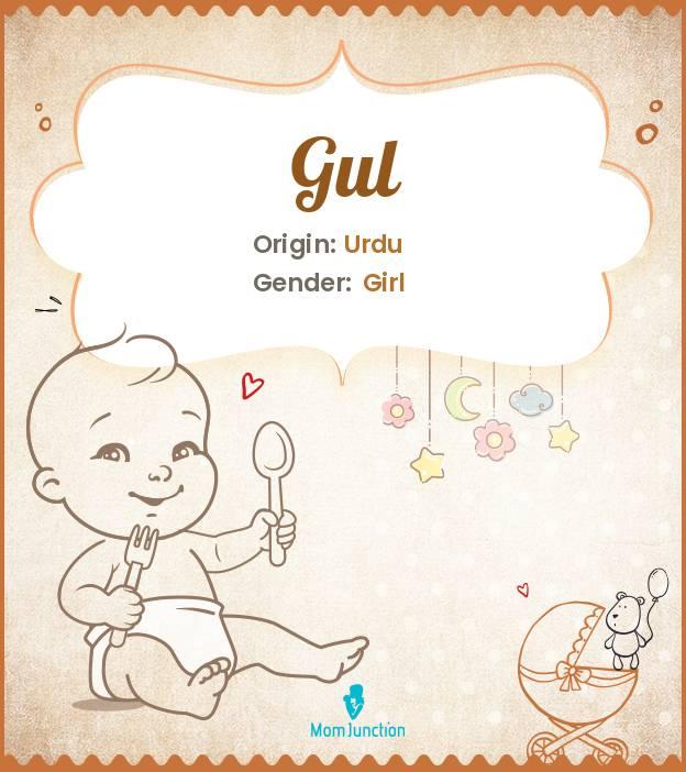 Explore Gul: Meaning, Origin & Popularity