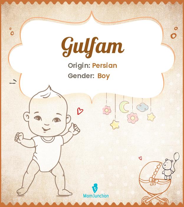 Explore Gulfam: Meaning, Origin & Popularity