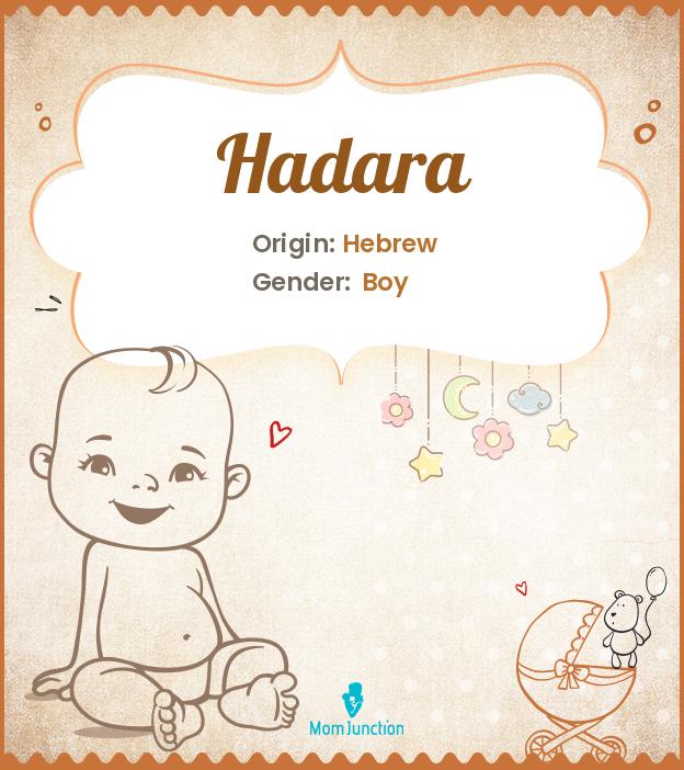 Explore Hadara: Meaning, Origin & Popularity | MomJunction