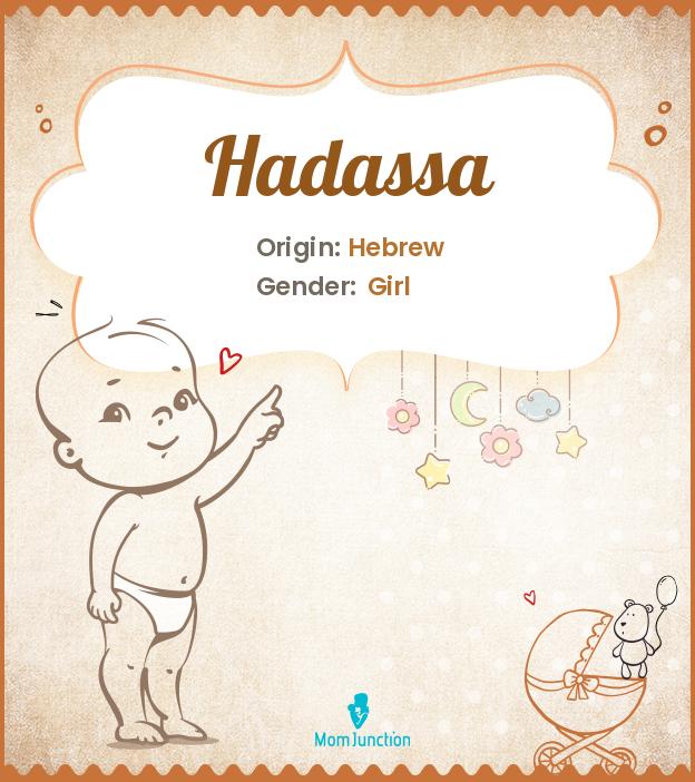 Explore Hadassa: Meaning, Origin & Popularity
