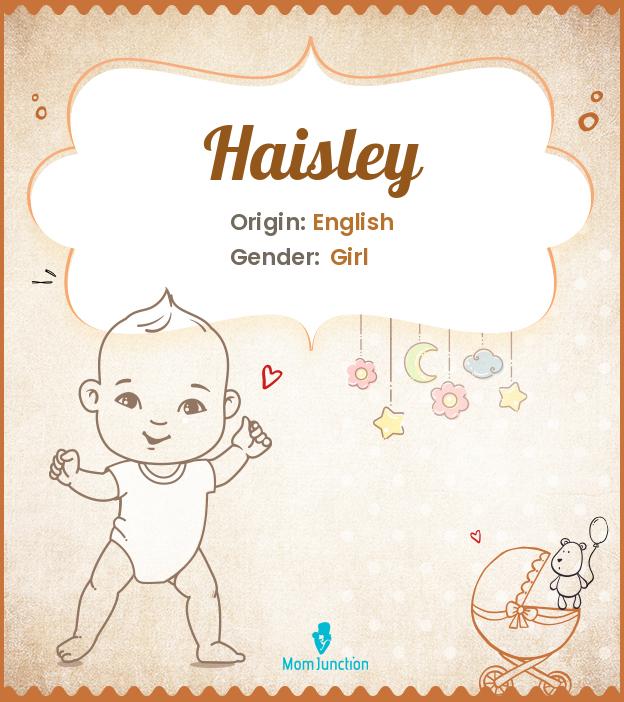 Haisley Name Meaning, Origin, History, And Popularity