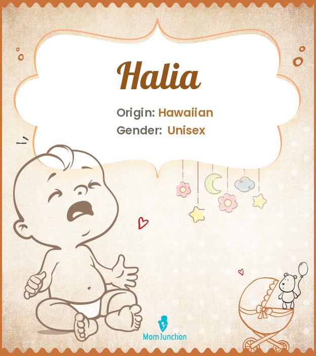 Halia Name Meaning, Origin, History, And Popularity