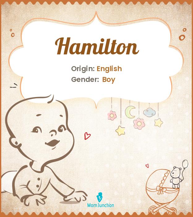 Hamilton Name Meaning, Origin, History, And Popularity