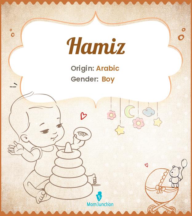 Explore Hamiz: Meaning, Origin & Popularity