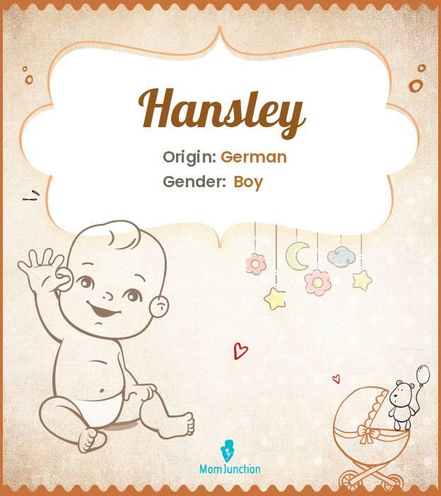 Explore Hansley: Meaning, Origin & Popularity