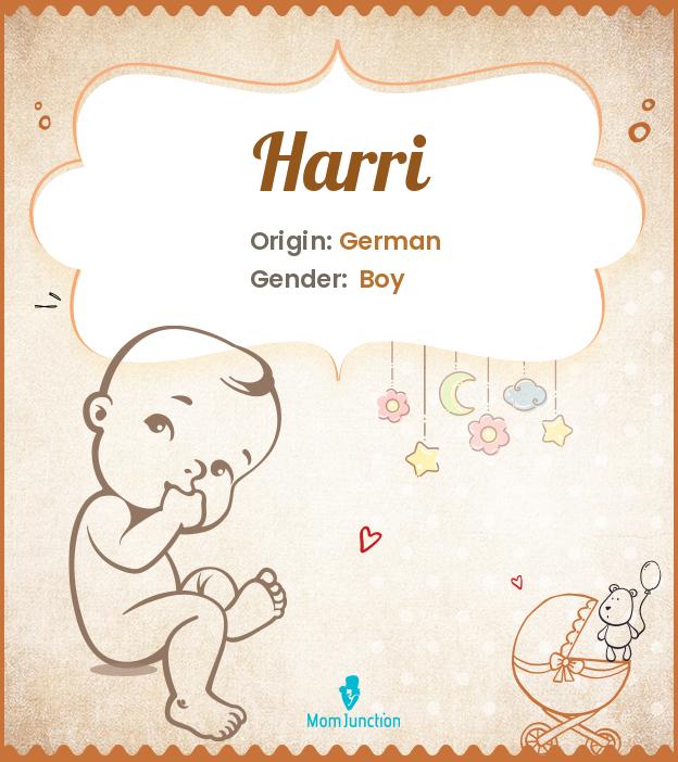 Explore Harri: Meaning, Origin & Popularity