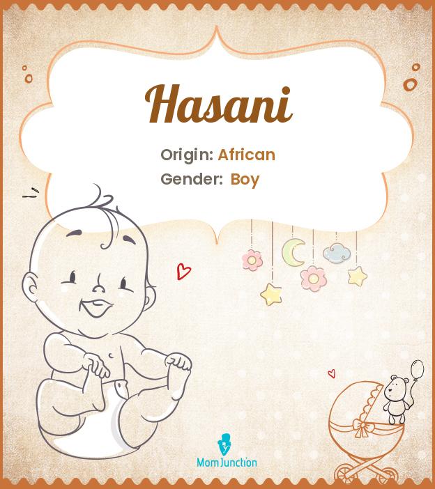 Hasani Name Meaning, Origin, History, And Popularity