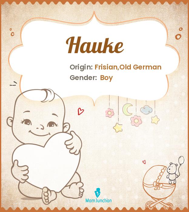 Explore Hauke: Meaning, Origin & Popularity