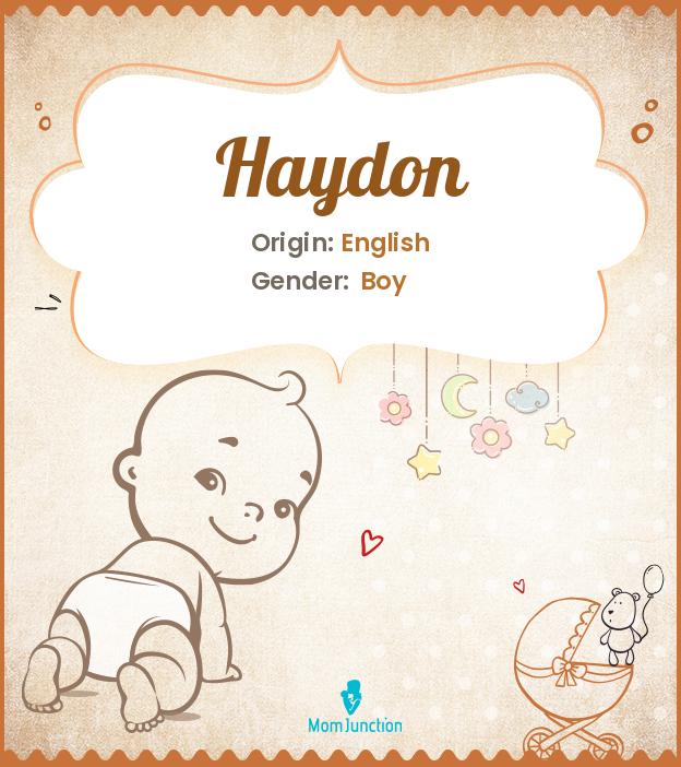 Explore Haydon: Meaning, Origin & Popularity