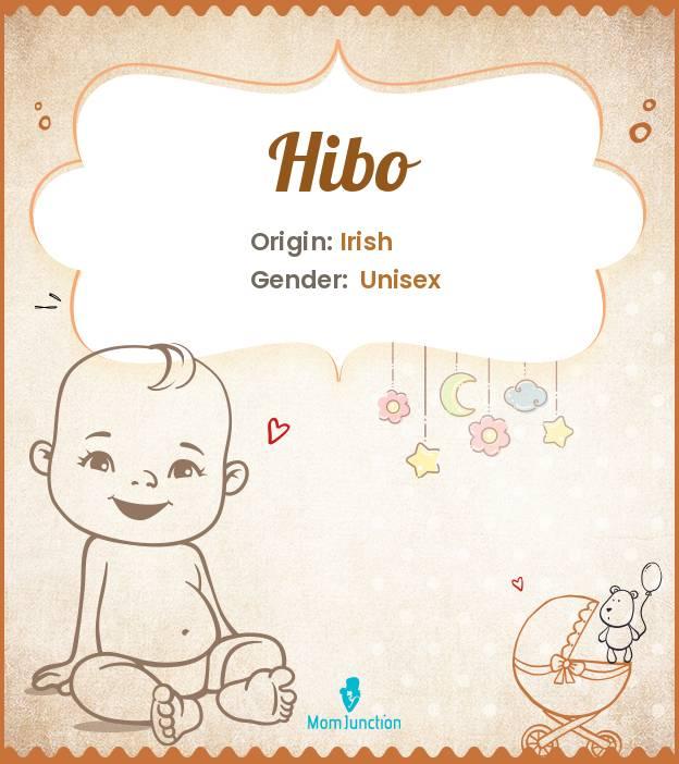 Explore Hibo: Meaning, Origin & Popularity