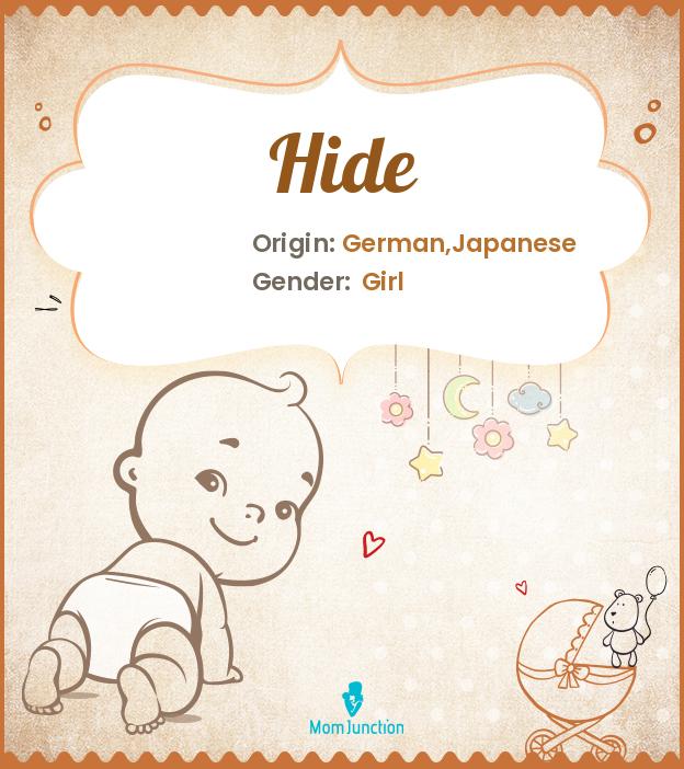 Explore Hide: Meaning, Origin & Popularity