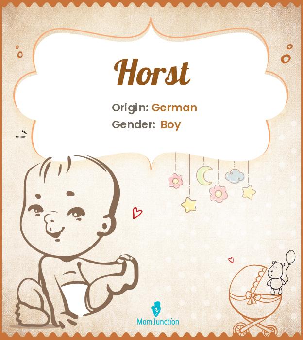 Explore Horst: Meaning, Origin & Popularity