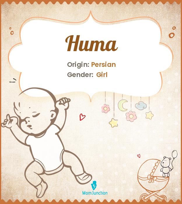 Explore Huma: Meaning, Origin & Popularity