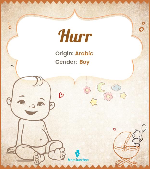 Explore Hurr: Meaning, Origin & Popularity
