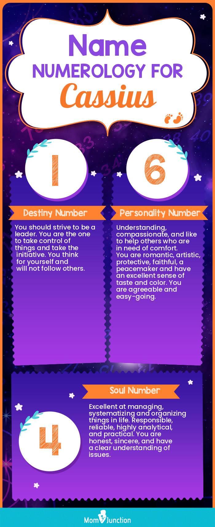 Cassius Name Meaning, Origin, History, And Popularity