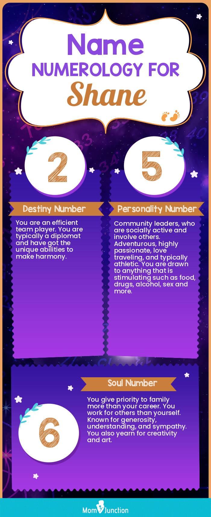 Shane Name, Meaning, Origin, History, And Popularity