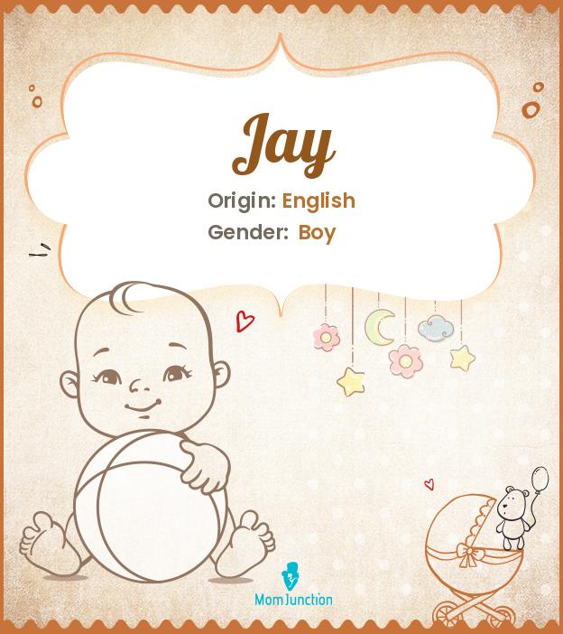 Jay Name Meaning, Origin, History, And Popularity