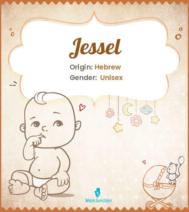 Explore Jessel: Meaning, Origin & Popularity