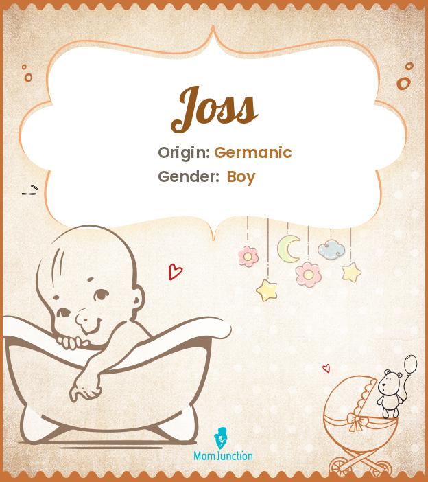 Explore Joss: Meaning, Origin & Popularity