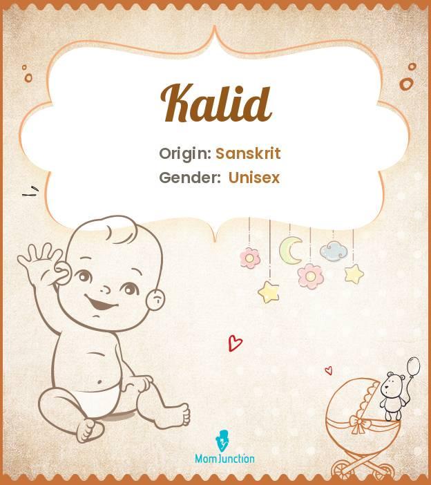 Kalid Name Meaning, Origin, History, And Popularity | MomJunction