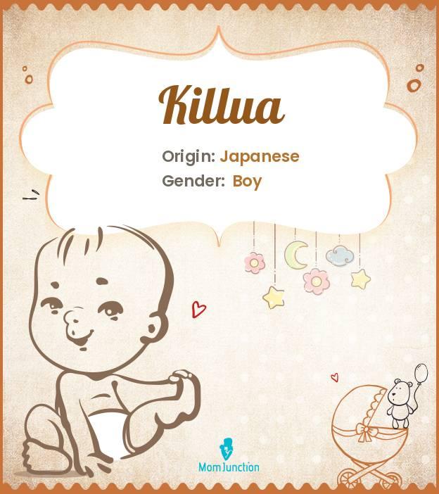 Explore Killua: Meaning, Origin & Popularity