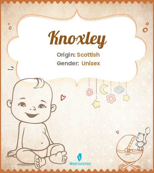 Explore Knoxley: Meaning, Origin & Popularity