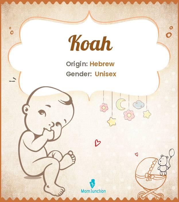 Explore Koah: Meaning, Origin & Popularity