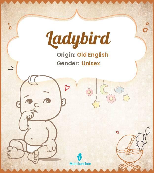 Taran Name, Meaning, Origin, History, And Popularity