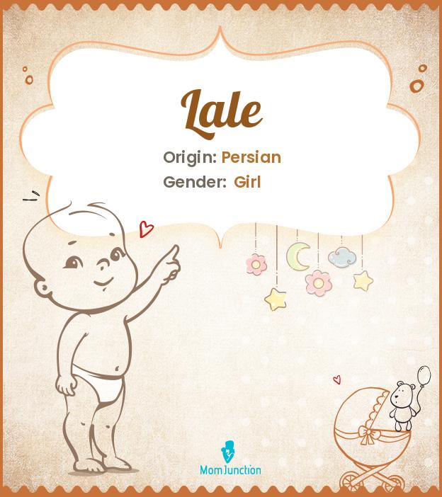 Lale Name Meaning, Origin, History, And Popularity