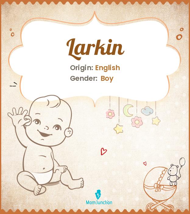 Larkin Name Meaning, Origin, History, And Popularity