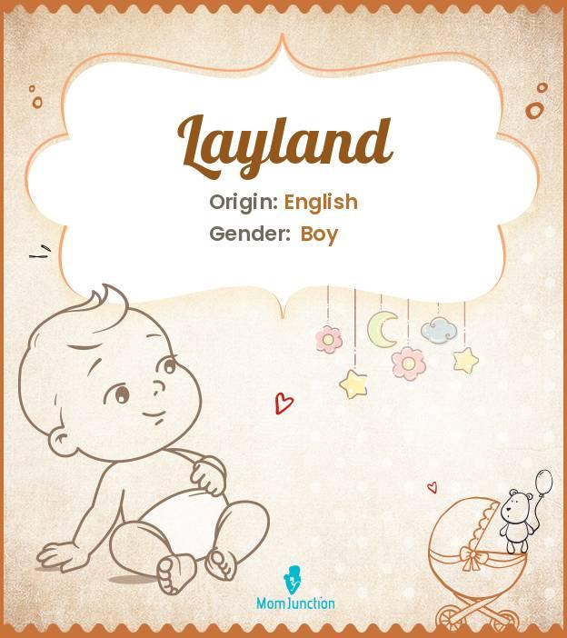 Explore Layland: Meaning, Origin & Popularity | MomJunction