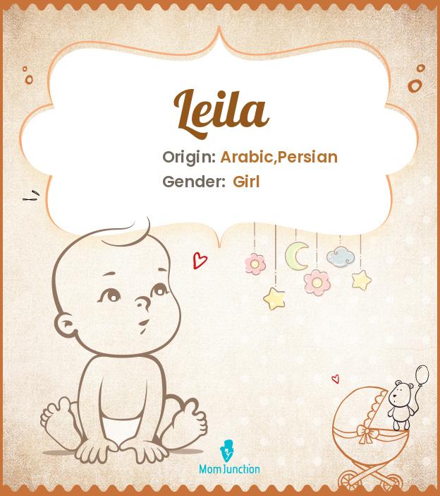 Leila Name Meaning. Origin, History, And Popularity