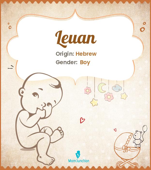 Leuan Name Meaning, Origin, History, And Popularity | MomJunction