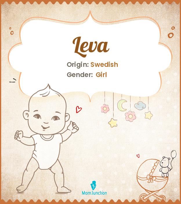 Leva Name Meaning, Origin, History, And Popularity