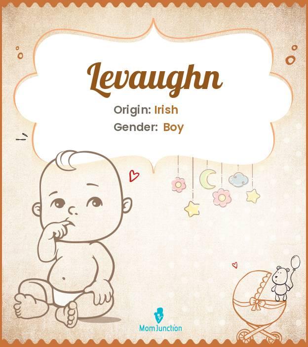 Explore Levaughn: Meaning, Origin & Popularity