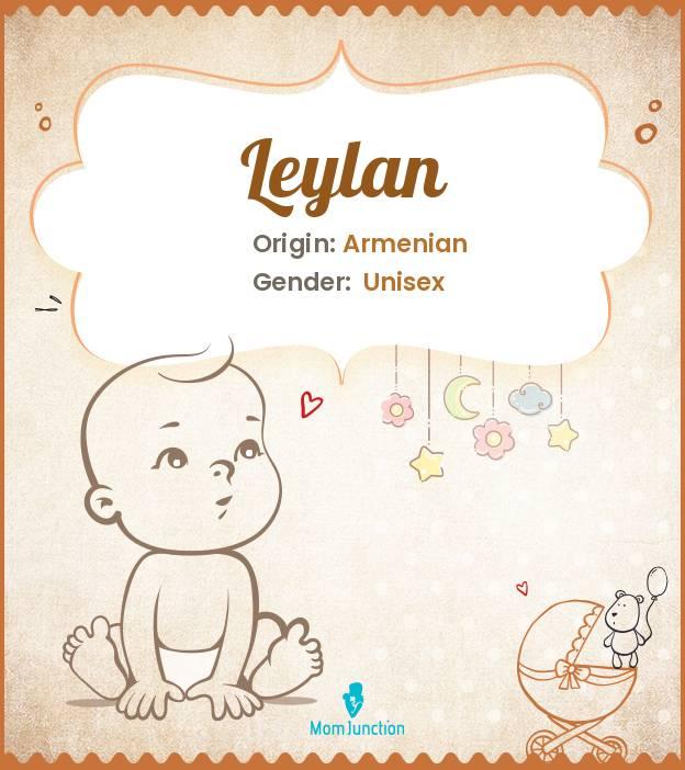 Explore Leylan: Meaning, Origin & Popularity
