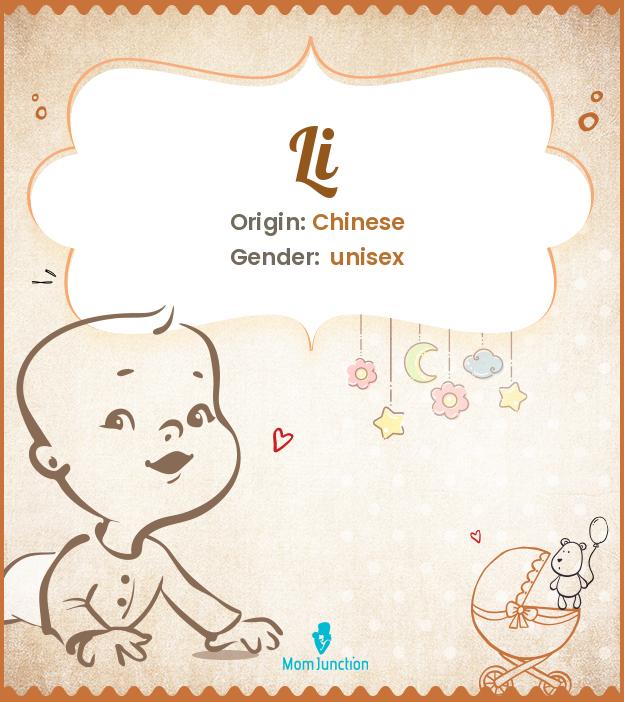 Li Name Meaning, Origin, History, And Popularity
