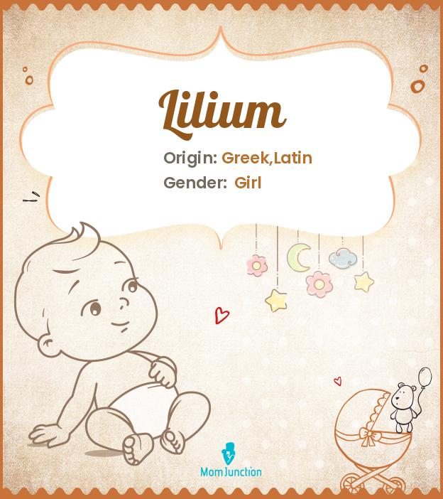 Explore Lilium: Meaning, Origin & Popularity