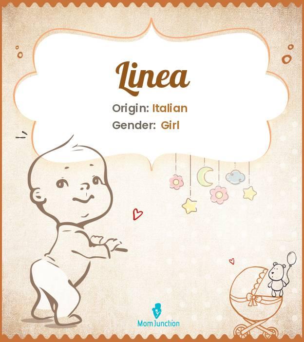 Explore Linea: Meaning, Origin & Popularity
