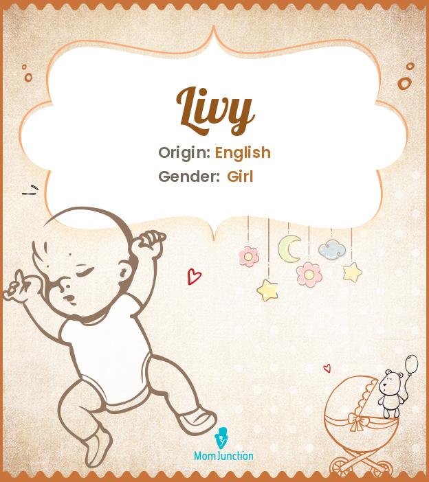 Explore Livy: Meaning, Origin & Popularity